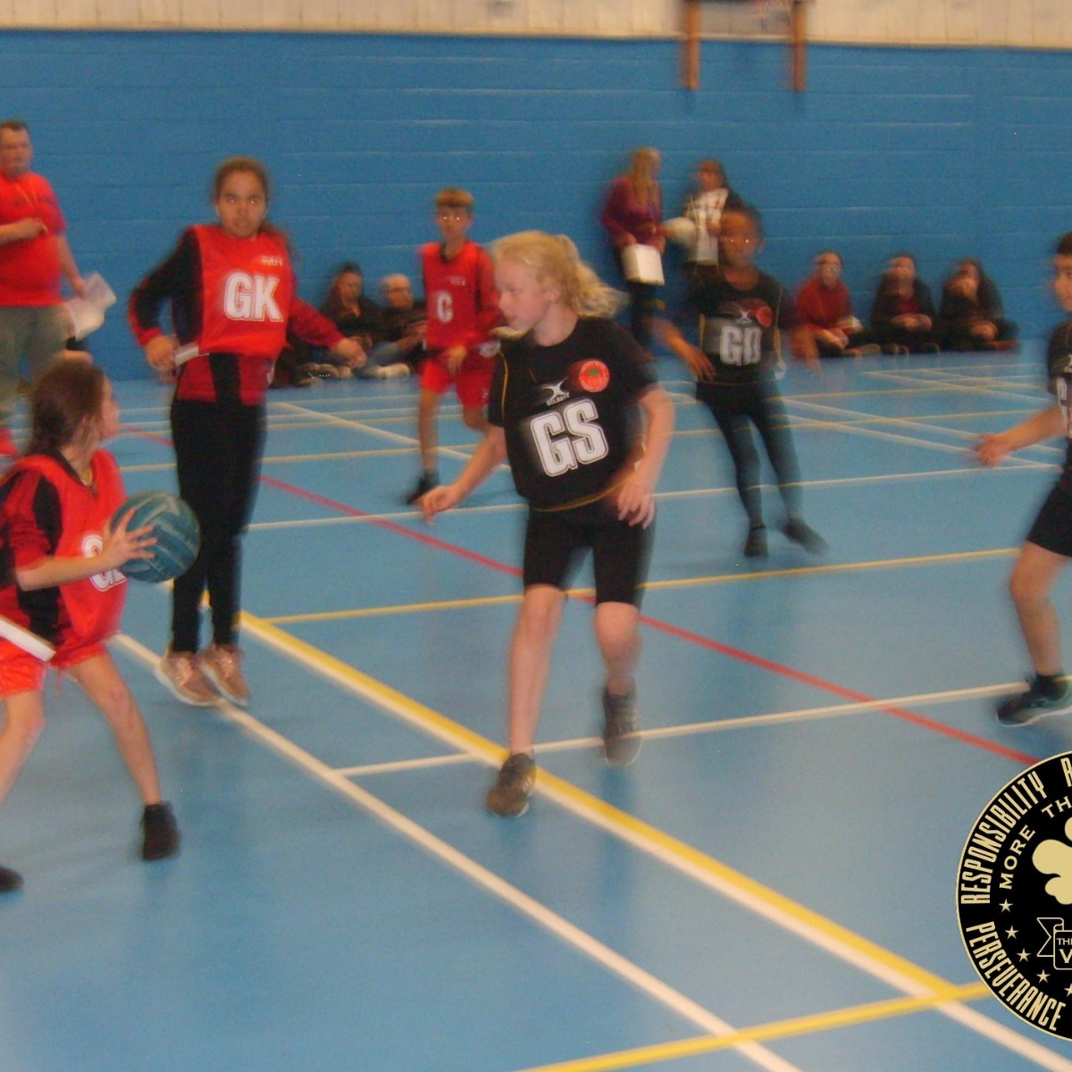 Smith's Wood Primary Academy - Smith's Wood Netball Victory